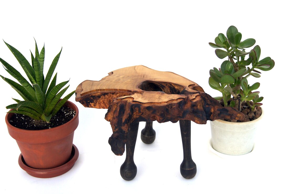 Unusual Wood Plant Stand Indoor, Wooden Display Stand Live Edge Slab ...