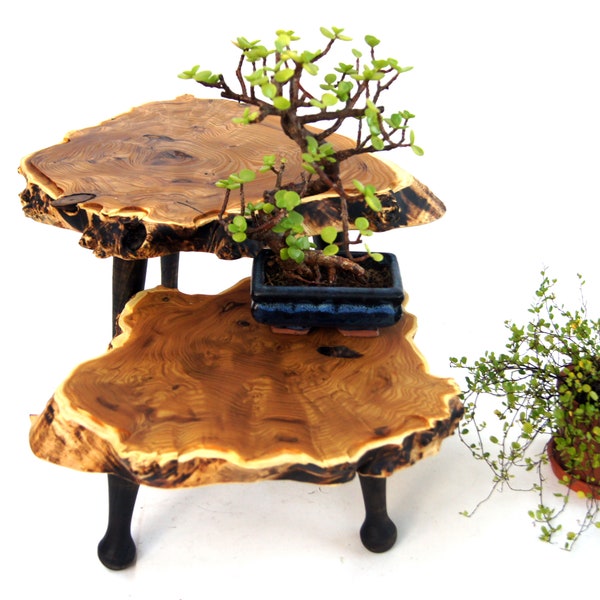 Bonsai Display Stand - Etsy