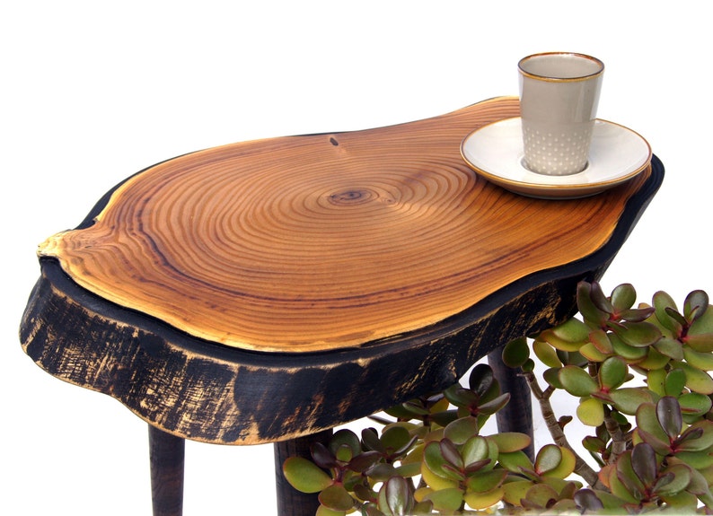 Small Live Edge Wood Slab Side Table Wild Olive Wood Coffee - Etsy