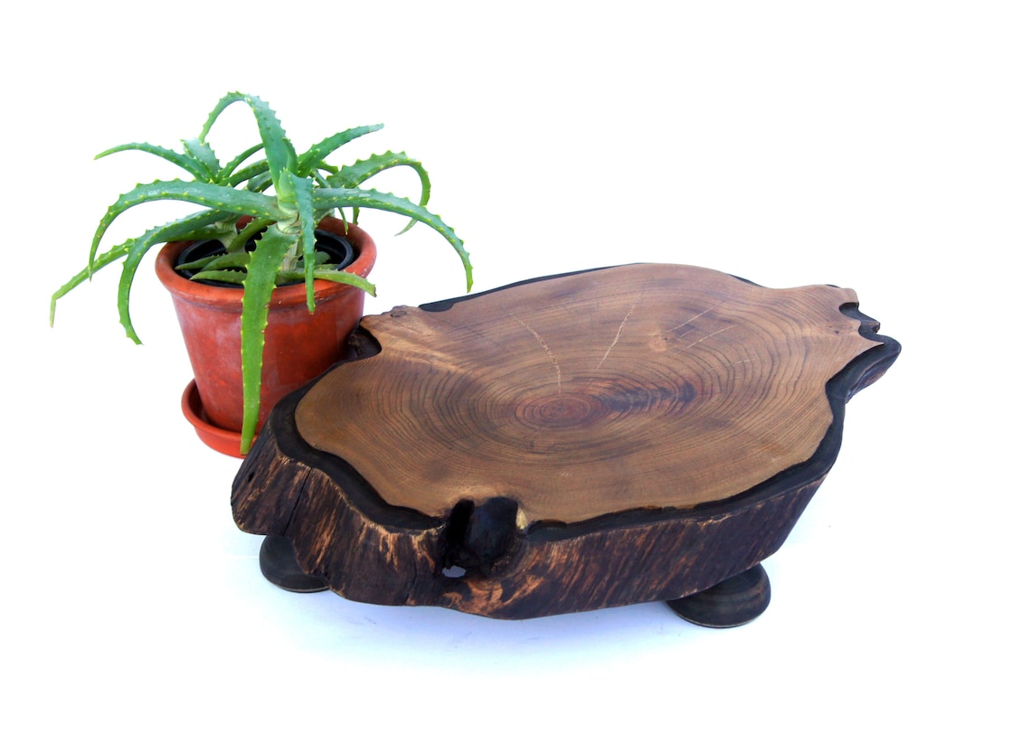 Wood plant pot stand Live edge wood slab Bonsai display stand | Etsy