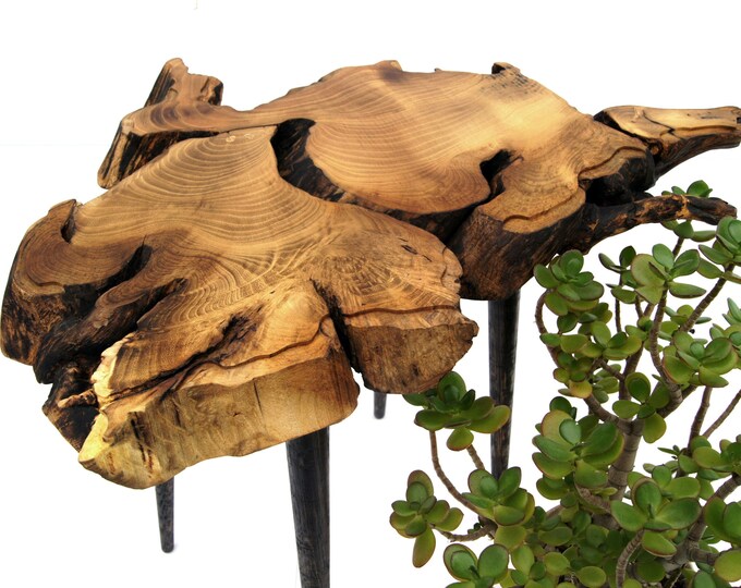 Personalized Acacia Root Wood Slab Coffee Table Unusual Live Edge Wood ...