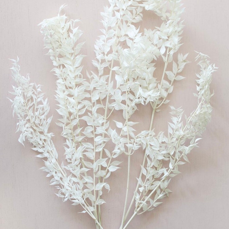 Dried Flower Stems - Etsy