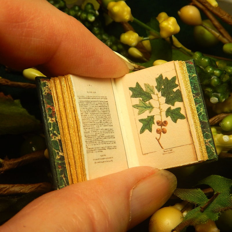 LeafprinterBooks - Etsy