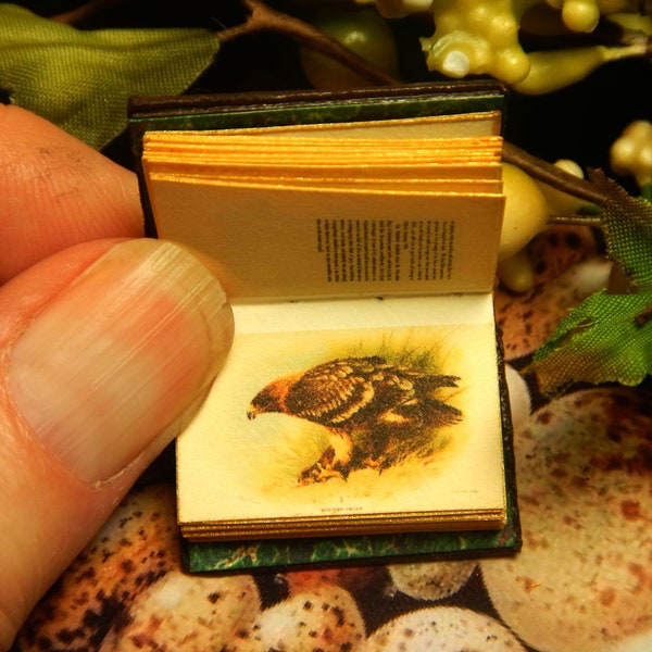 Antique Bird Book - Etsy