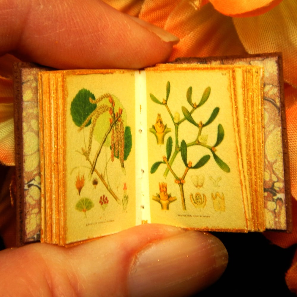 LeafprinterBooks - Etsy