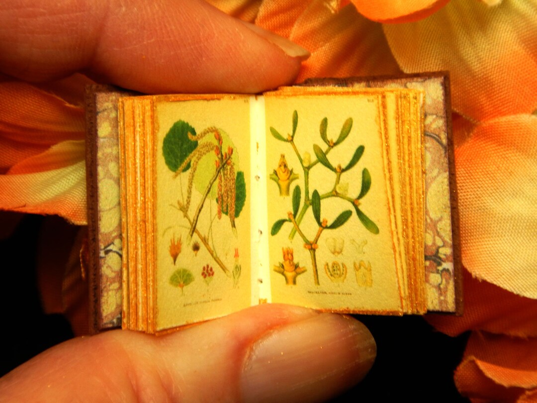 Miniature Leather Book:flowers of the North, 12th Scale Dollhouse, - Etsy