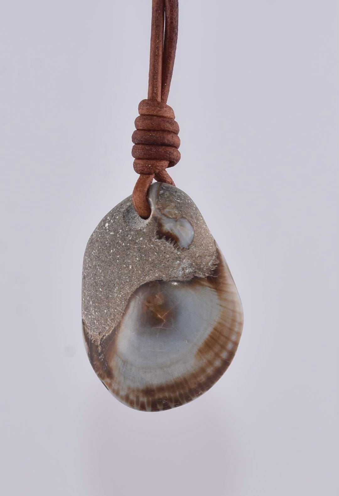 Agatized Fossil Clam Shell Pendant - Etsy