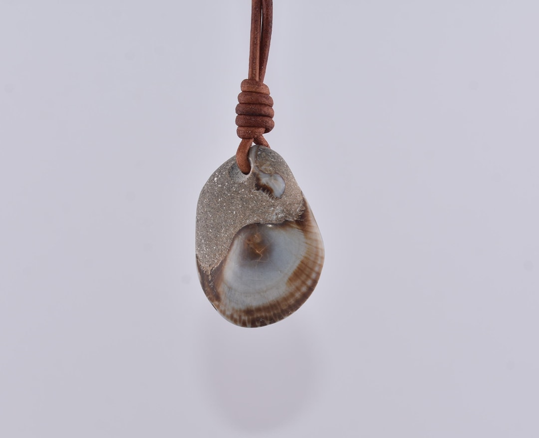Agatized Fossil Clam Shell Pendant - Etsy