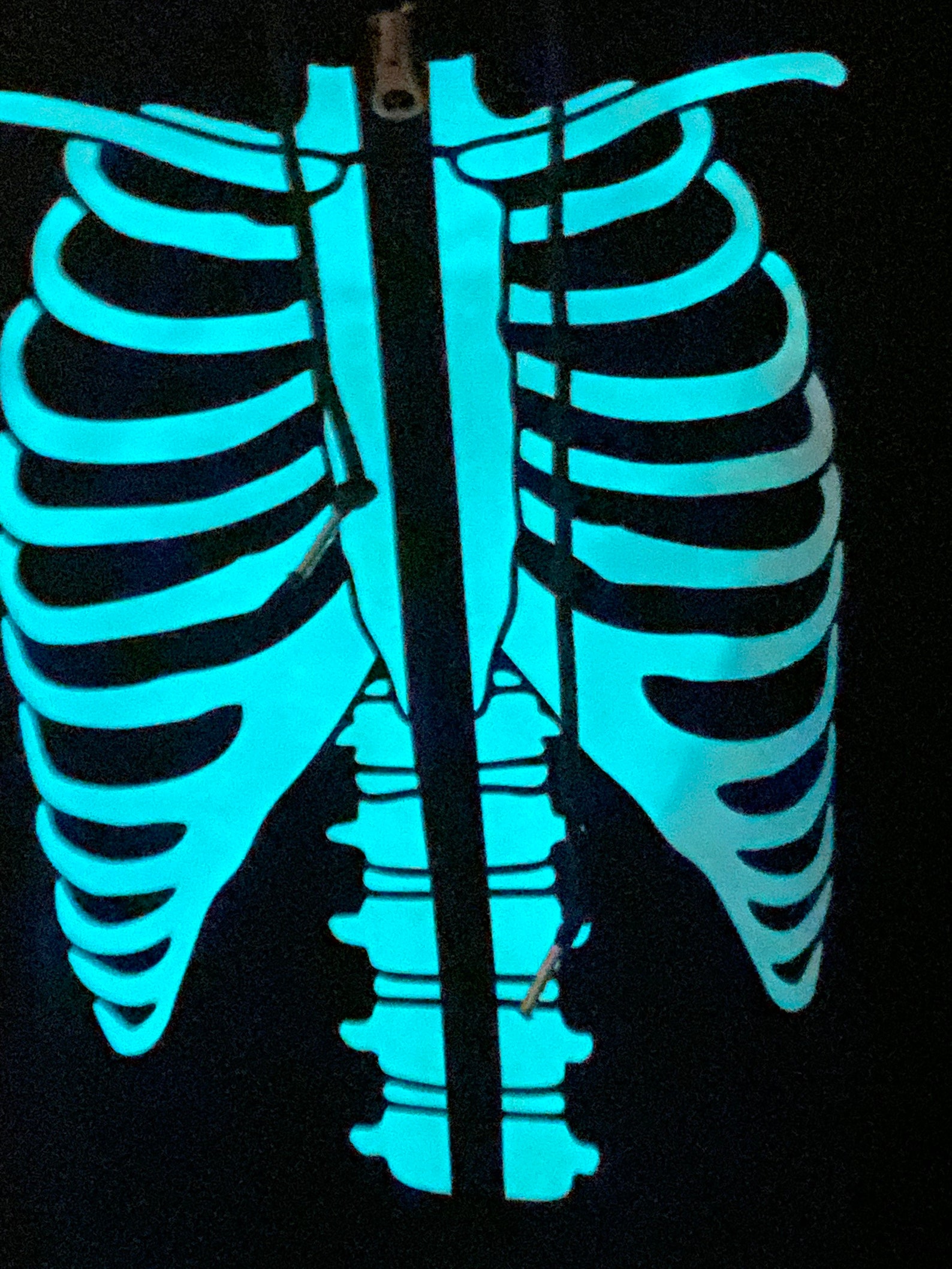 Halloween Decal Skeleton Glow-in-dark DECAL ONLY - Etsy