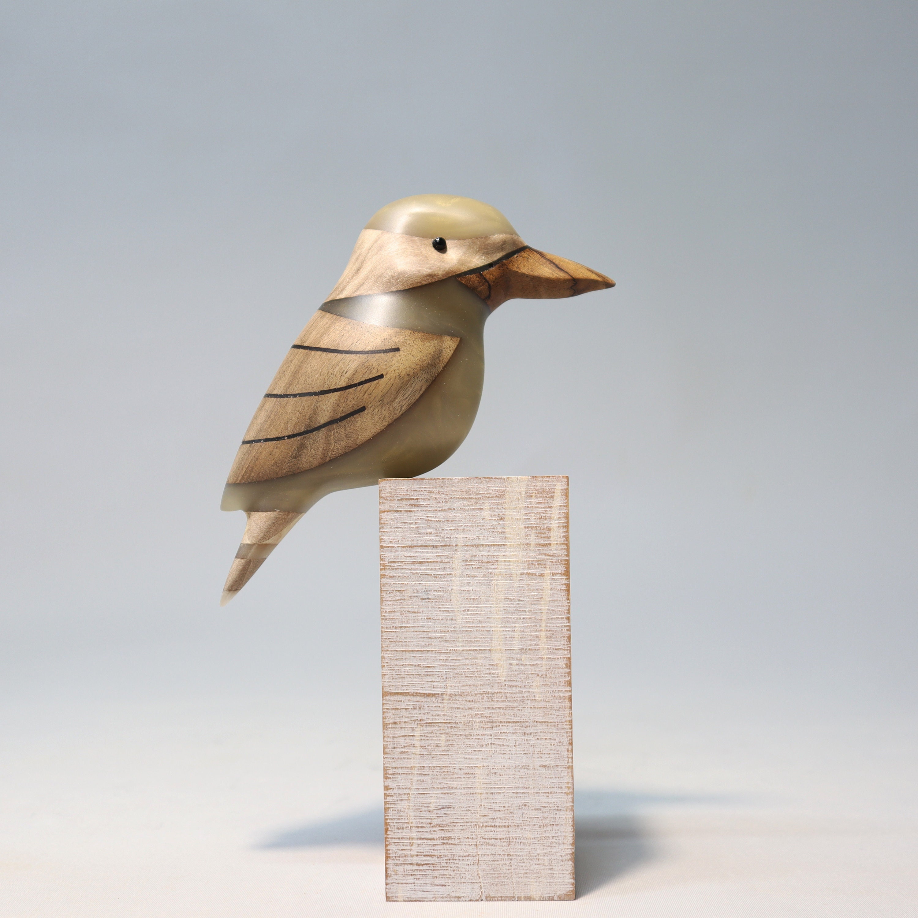 Egg Baby Kookaburra