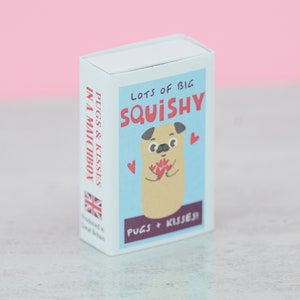 Big Squishy Pugs and Kisses in A Matchbox, Best Friend Gift, Best Friend Card, Cheer up Gift ...