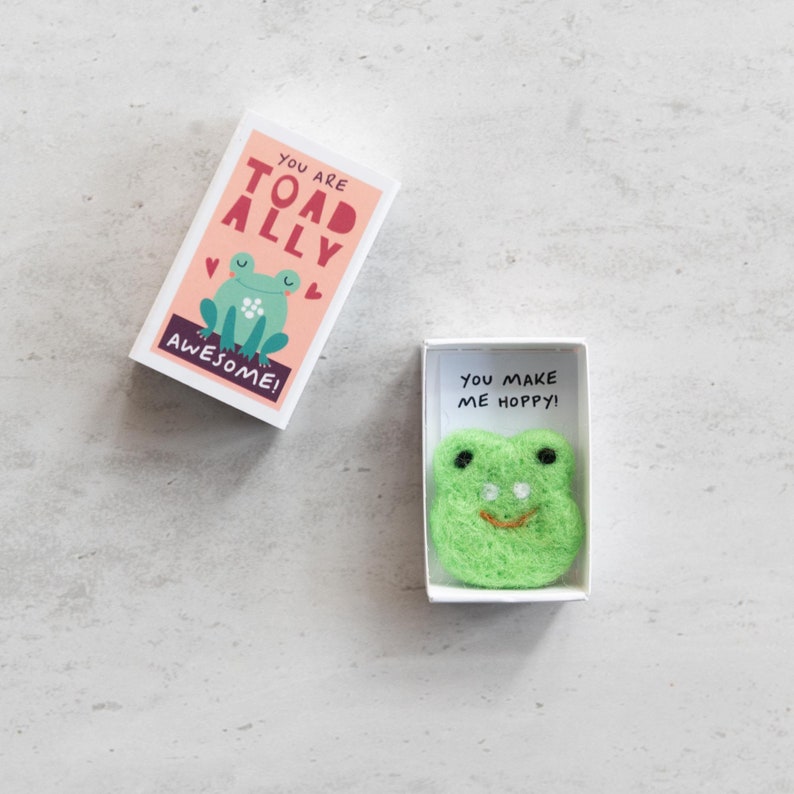 Toadally Awesome Wool Felt Frog in A Matchbox, Best Friend Gift, Best ...