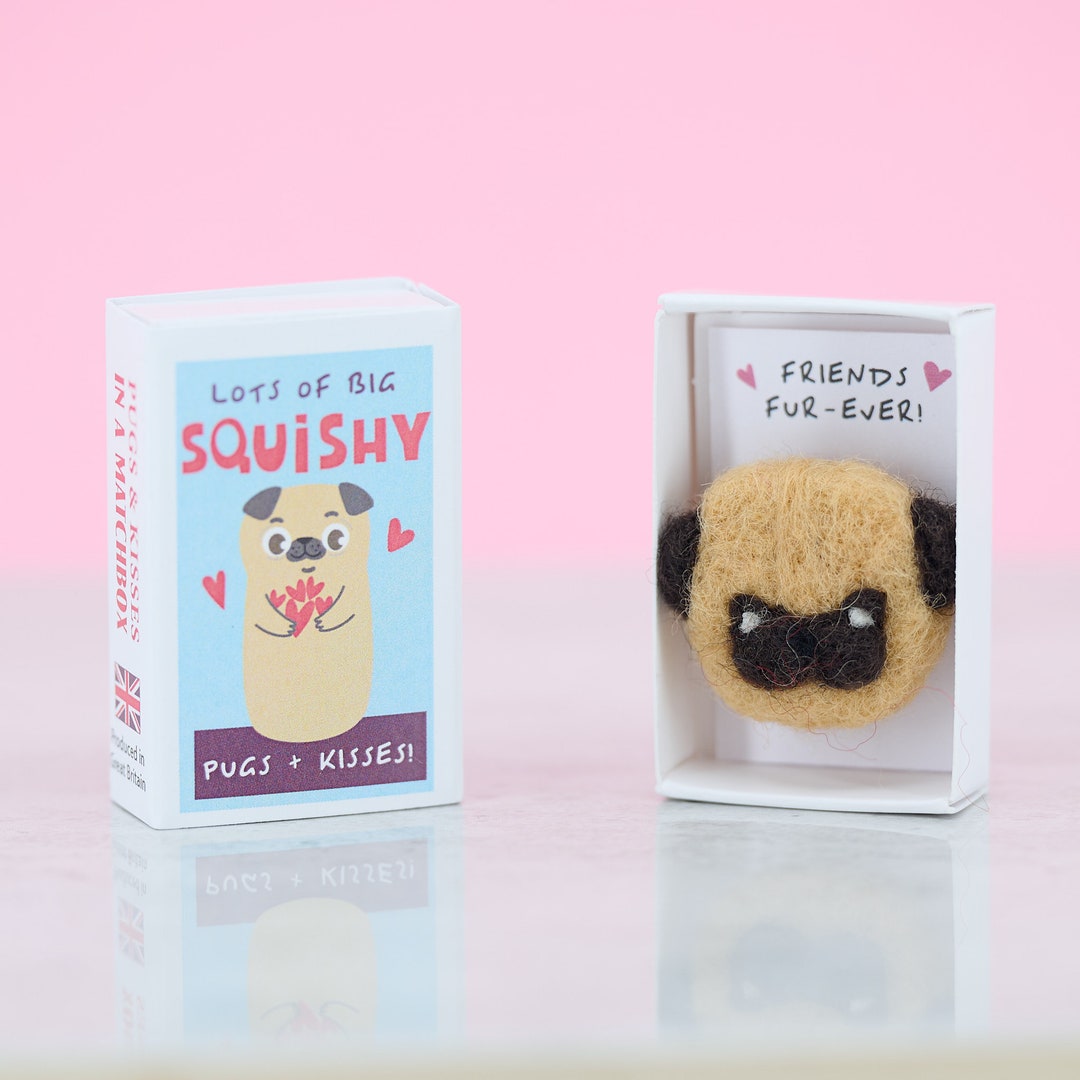 Big Squishy Pugs and Kisses in A Matchbox, Best Friend Gift, Best Friend Card, Cheer up Gift ...