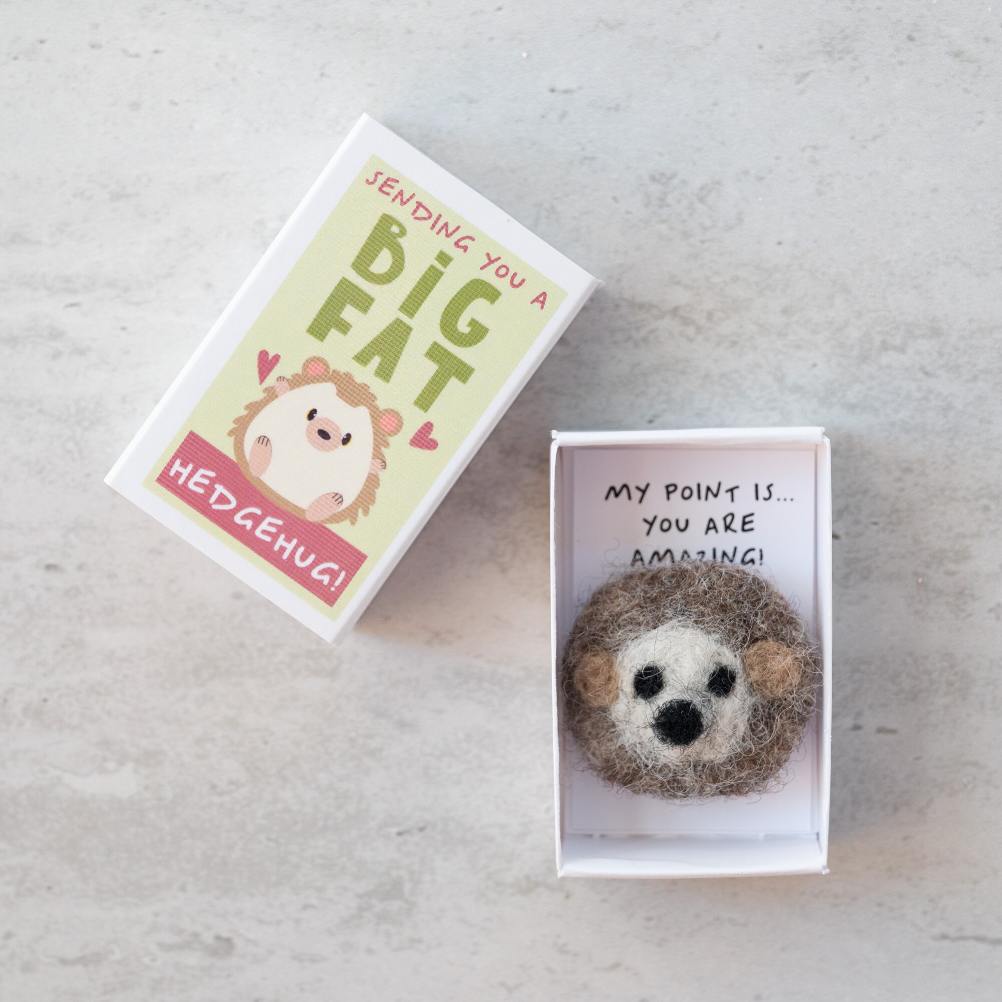 Sending You A Hedgehug Wool Felt Hedgehog in A Matchbox, Best Friend ...