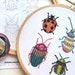 Colorful Bug Sampler DIY Hand Embroidery Kit "beetle Collection ...