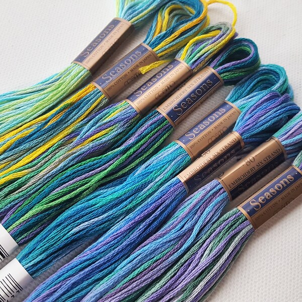 Variegated Floss - Etsy