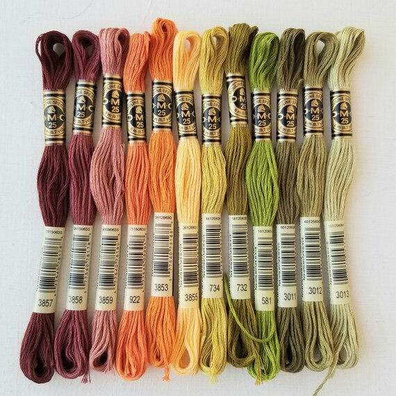 Fall Colors Hand Embroidery Floss Bundle Needlework Beginner - Etsy