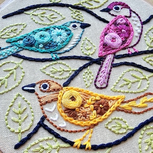 Beginner Needlework Pattern Digital Download, Colorful Birds DIY Easy ...
