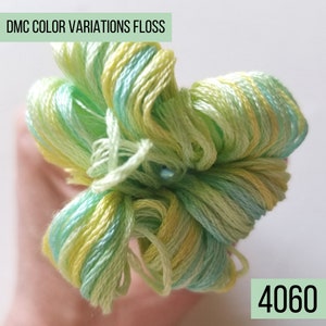 DMC Color Variations Cotton Embroidery Floss: 4042 Through 4069. Single Skein of Cross Stitch ...