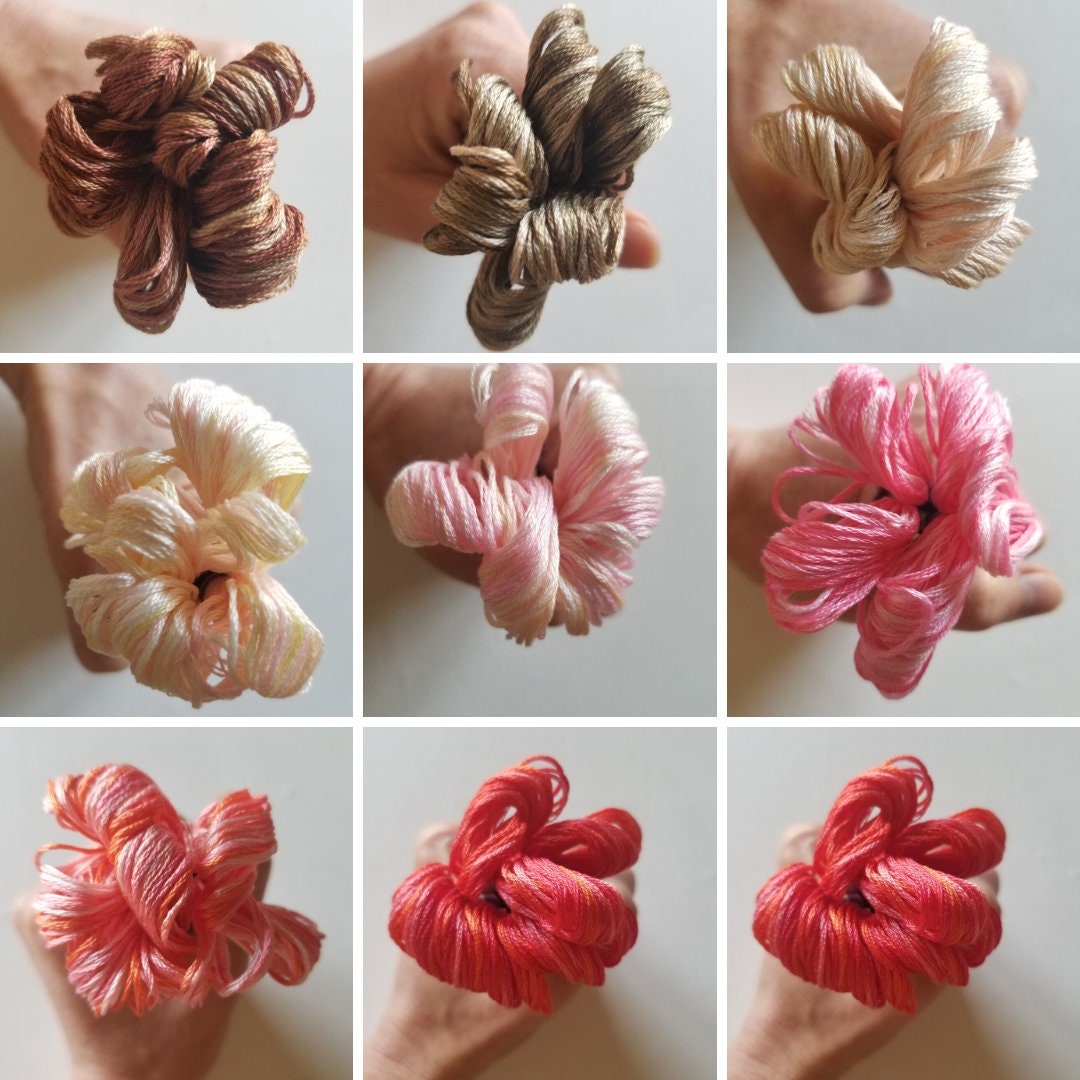 DMC Color Variations Cotton Embroidery Floss: 4140 Through 4205. Single ...