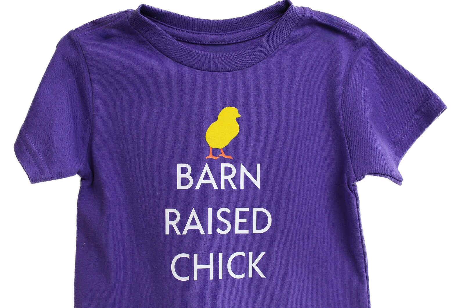 Toddler T-shirt Barn Raised Chick, Homesteading Kid's Shirt, Fuzzy Peep ...