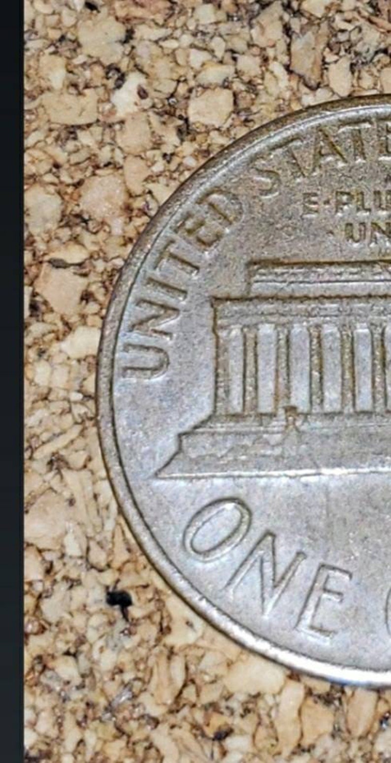 1964 Lincoln Penny With Many Errors. No Mint Mark | Etsy