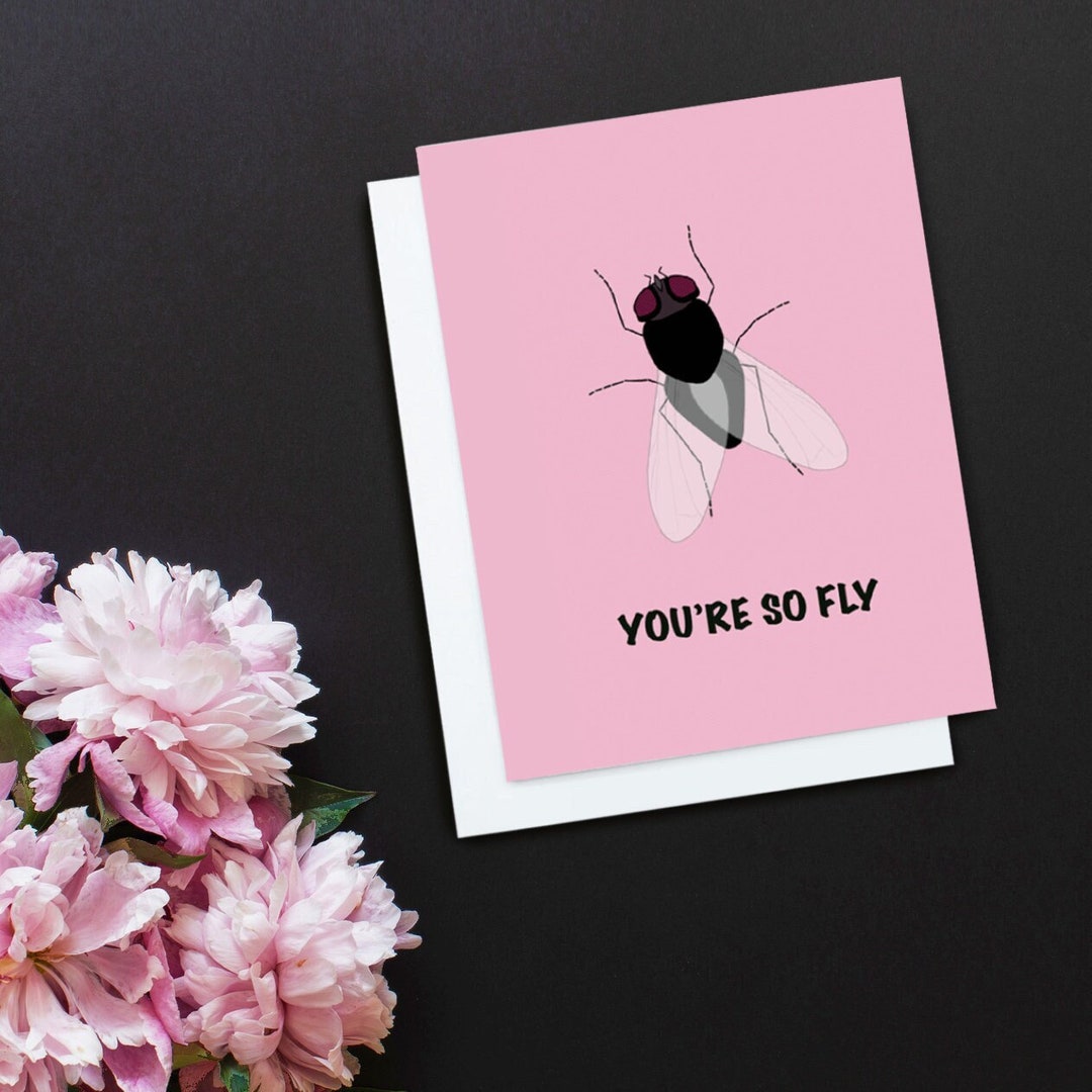 You're so Fly Card - Funny Love Card - Funny Birthday Card - Funny ...