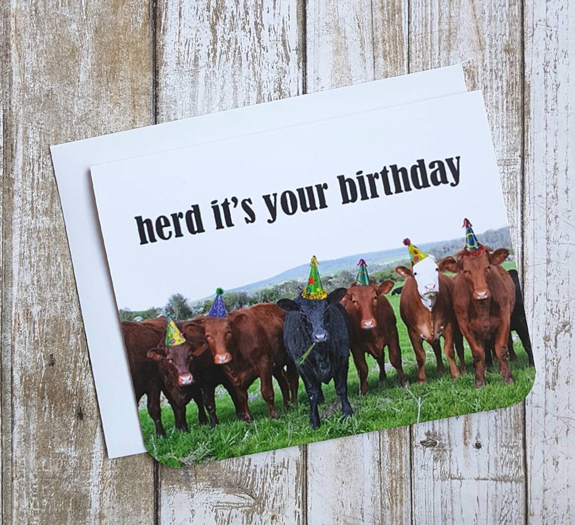 Herd Its Your Birthday Birthday Card Cow Card Animal Card - Etsy