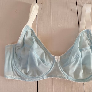 Sheer Blue Mesh Bra. - Etsy