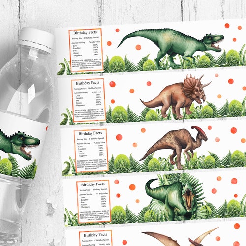 EDITABLE Dinosaur Birthday Water Bottle Label Dino T-rex - Etsy