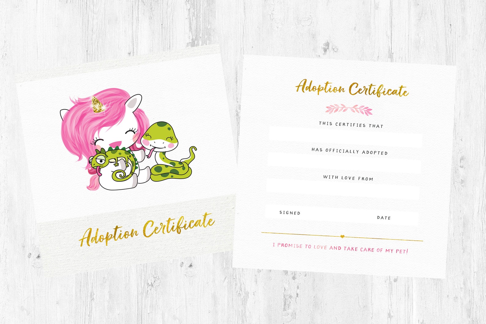 Reptile Adoption Certificate, Lizard Adoption Certificate, Snake ...