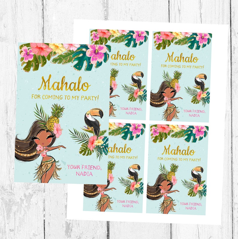 Hula Girl Birthday Party Decorations Hula Girl Luau - Etsy