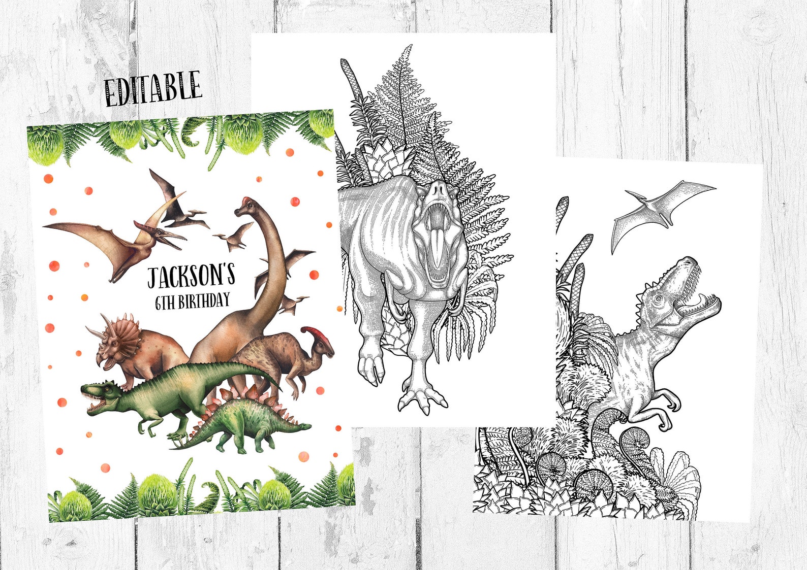 Editable Dinosaur Coloring Pages Dinosaur Coloring Book Party | Etsy