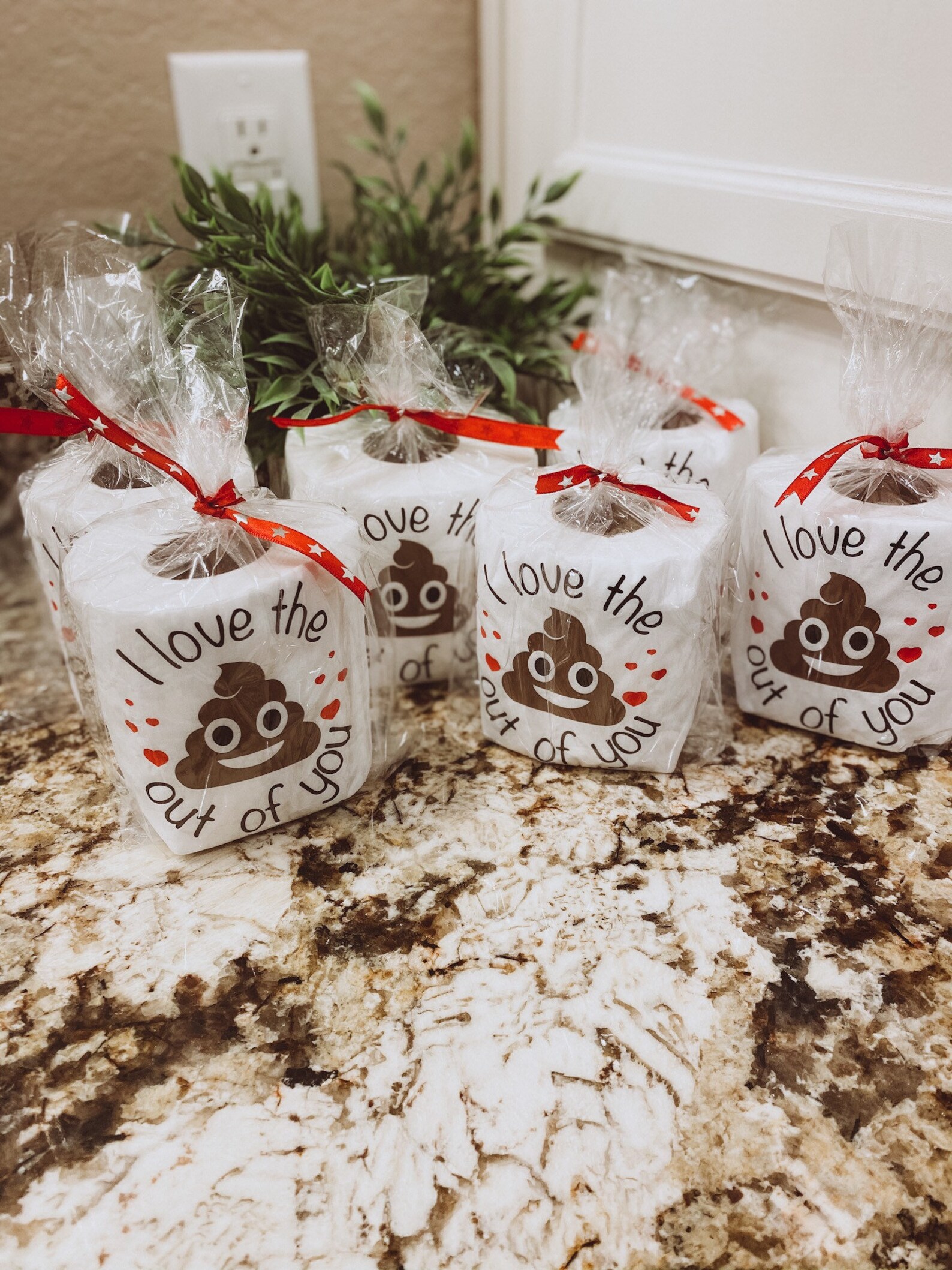 I Love the Poop Out of You Valentines Day Gift Gag Gift - Etsy