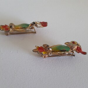 Parrot Pin, Bird Scatter Pins, Margaritaville Brooch, Jimmy Buffett ...