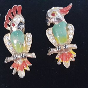 Parrot Pin, Bird Scatter Pins, Margaritaville Brooch, Jimmy Buffett ...