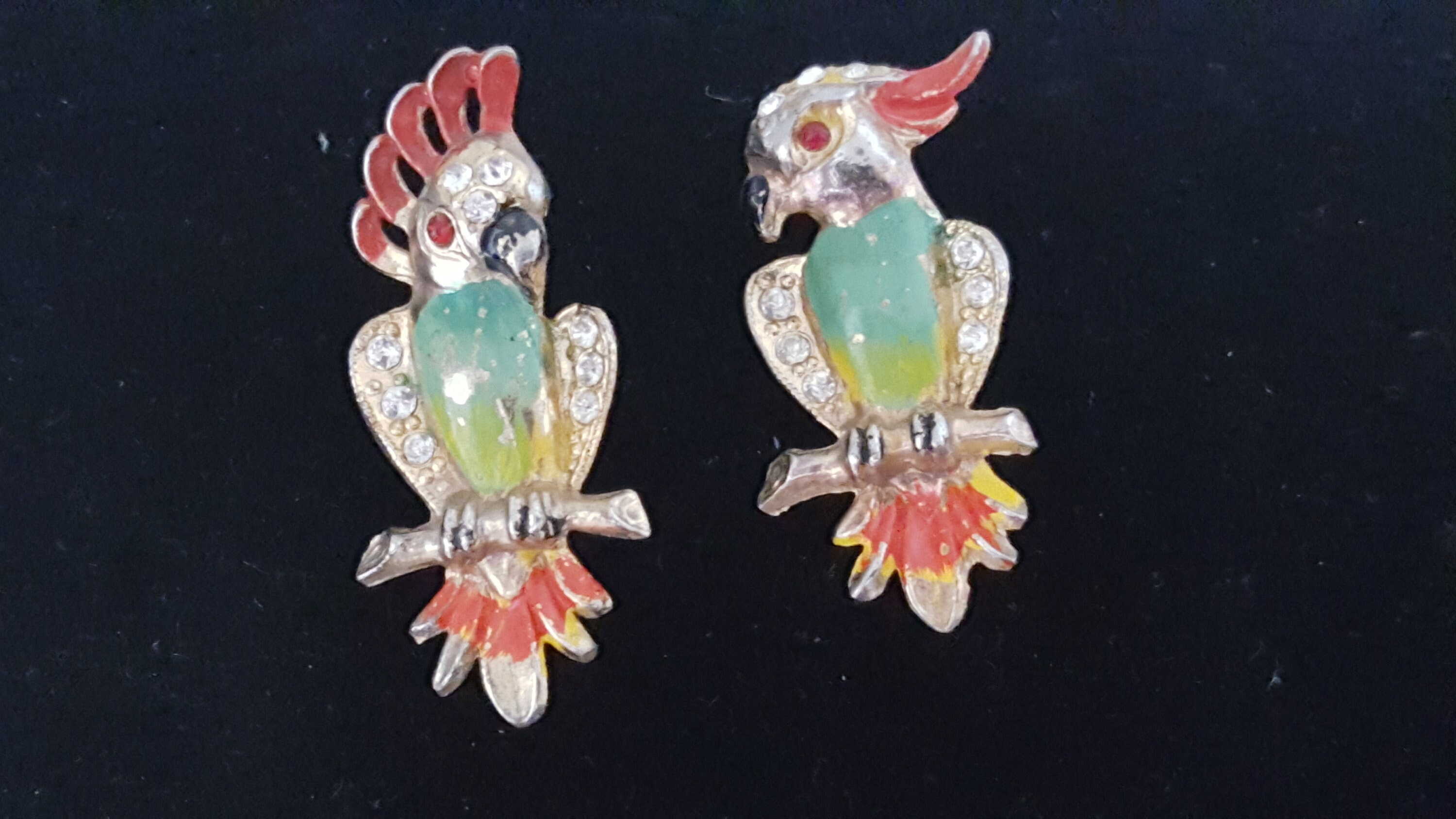 Parrot Pin, Bird Scatter Pins, Margaritaville Brooch, Jimmy Buffett ...