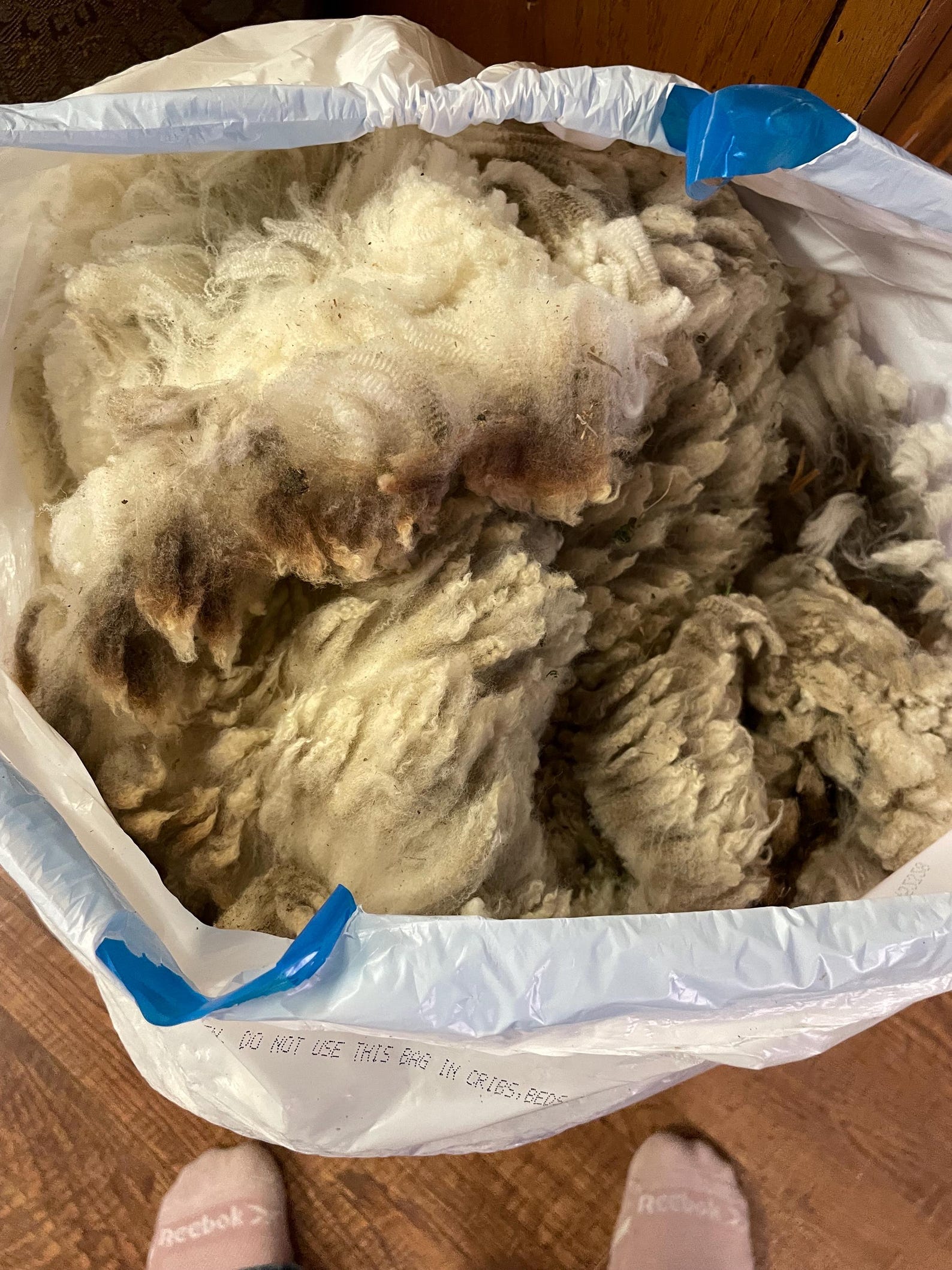 White Texel / Rambouillet Cross Lamb Fleece With Brown Spot 2025 #57 ...