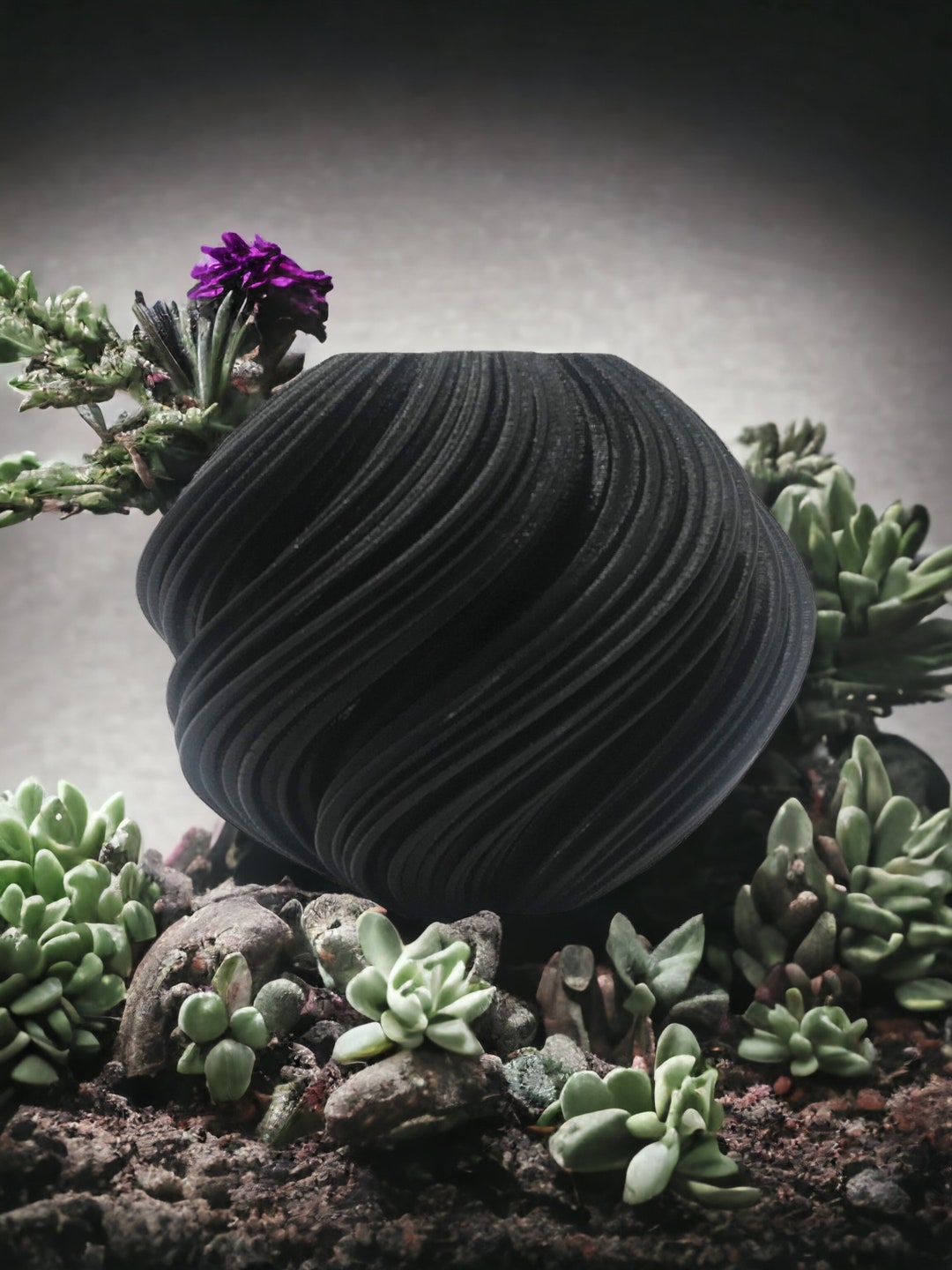 Air Plant Holder | Plant Pot With Drainage | Black Flower Pot | Desk ...