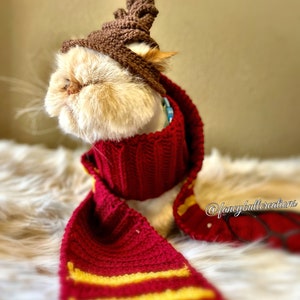 Small Wizard Hufflepuff Sorting Hat From Small Dog or Cat Costume Harry ...
