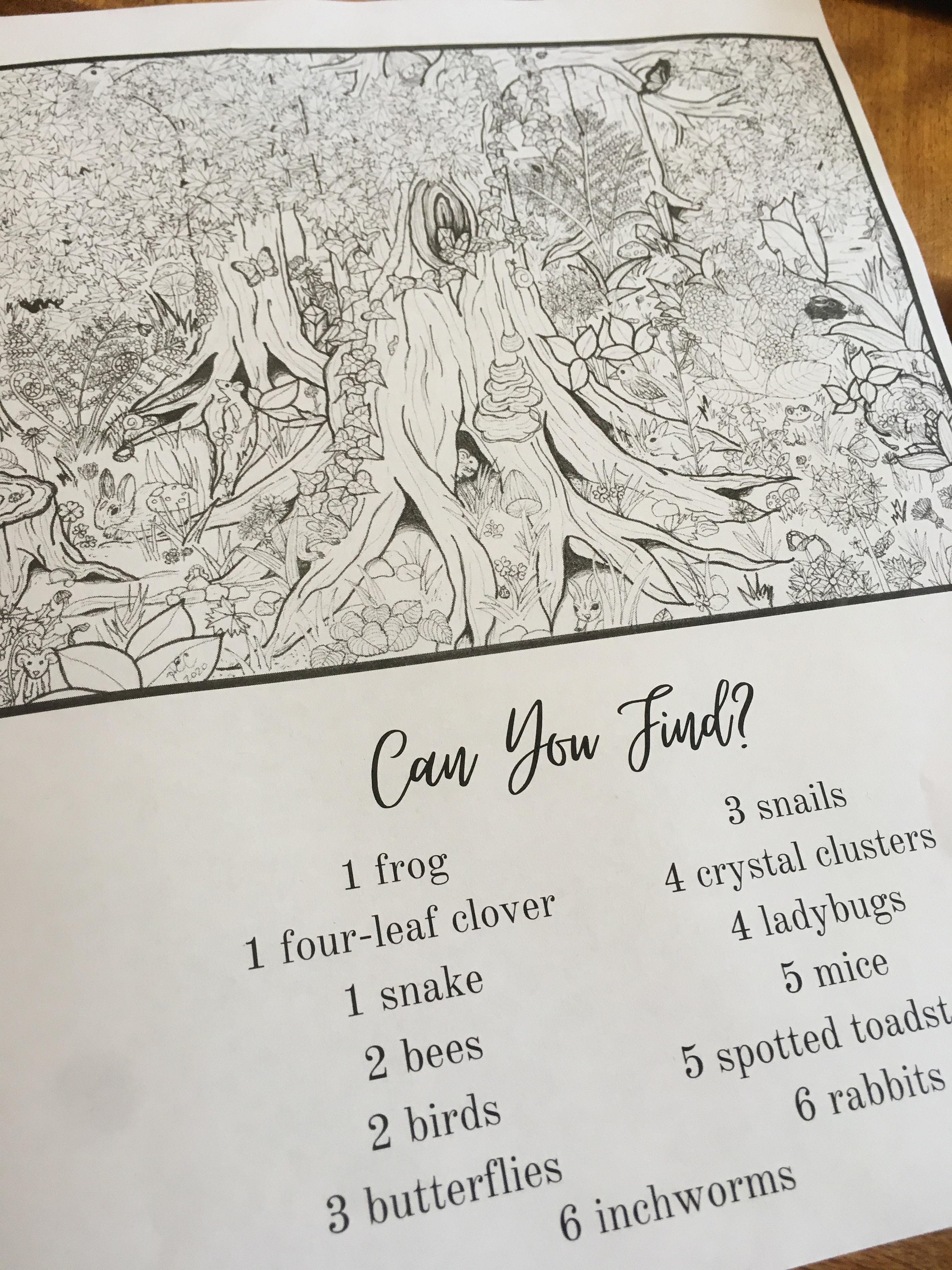 Forest Search & Find Coloring Page PDF - Etsy
