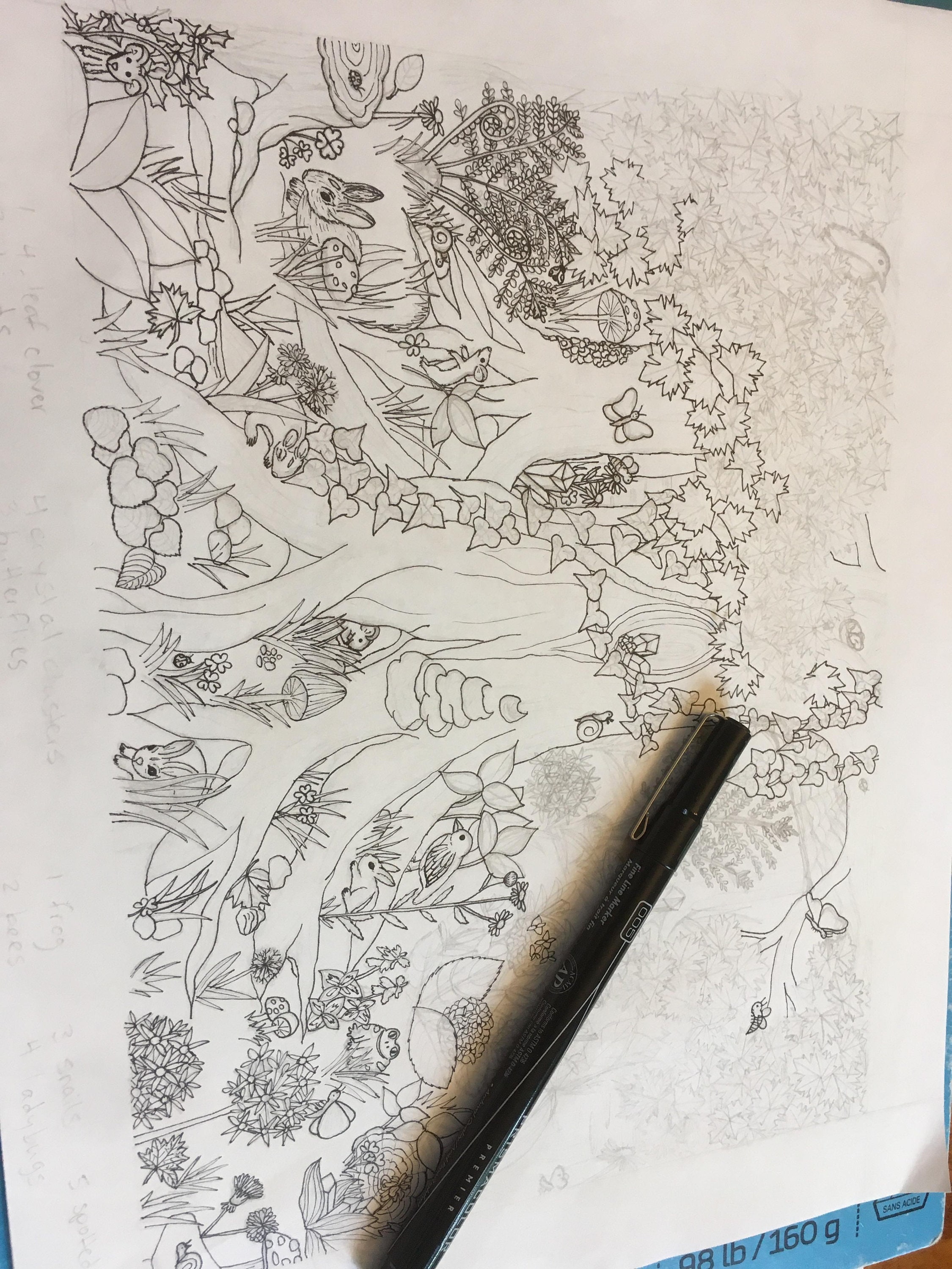 Forest Search & Find Coloring Page PDF - Etsy