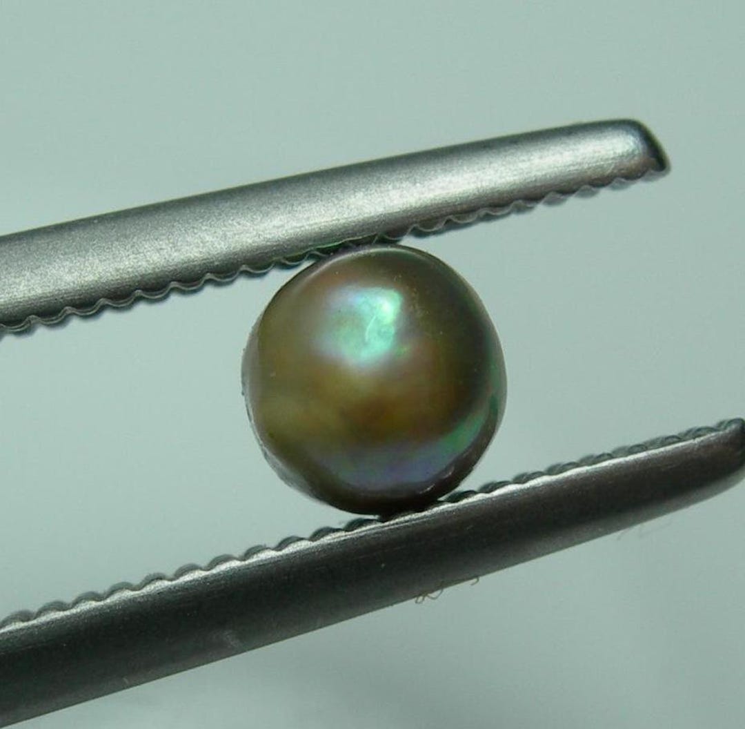 Natural ABALONE PEARL Very Rare Haliotis Rufescens Green Blue Bronze ...