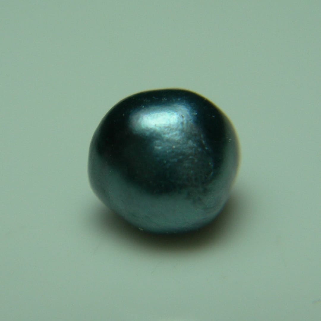 Natural Horse Mussel Pearl Very Rare Saltwater Modiolus Philippinarum ...