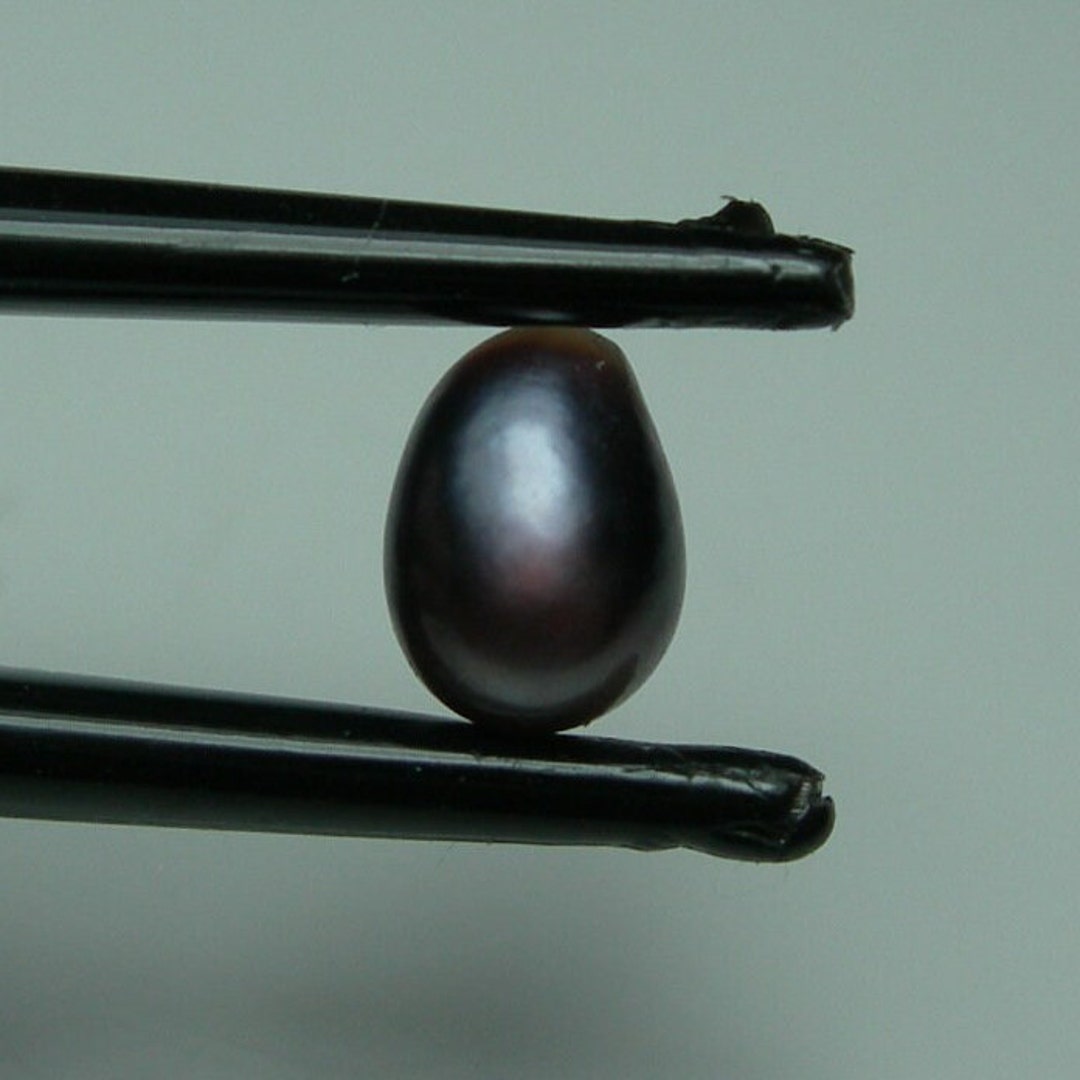 Rare Natural Horse Mussel Pearl Drop Saltwater Modiolus Philippinarum ...