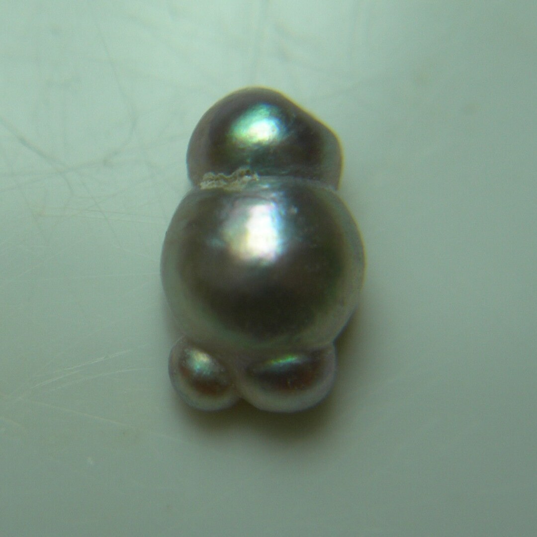 RARE Natural Sea of Cortez Gray Pearl Saltwater Pteria Sterna Rainbow ...
