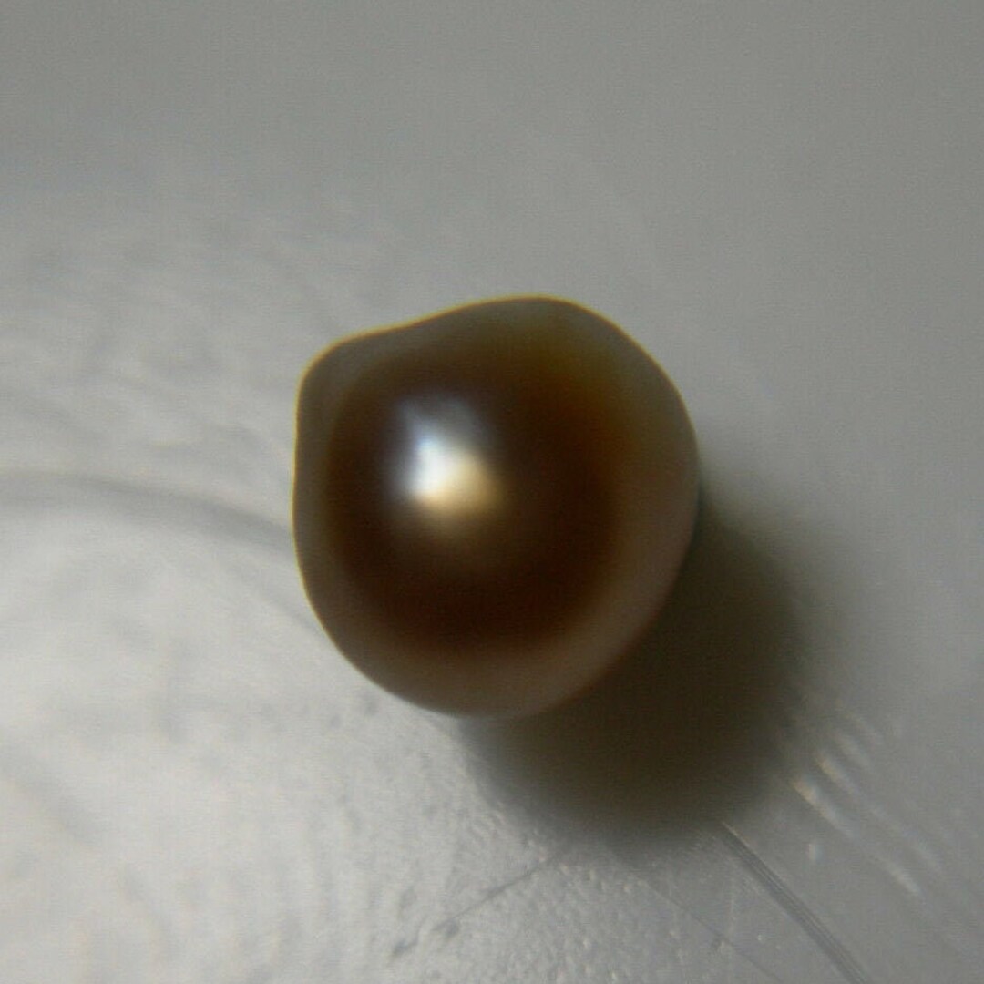 Very Rare Natural Saltwater Pearl Fancy Brown Orange Cream Uncultured ...