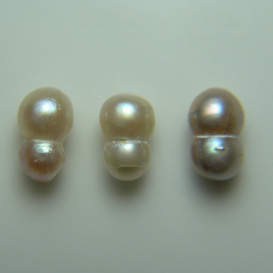 3 Very Rare Natural Sea of Cortez TWIN PEARLS Genuine Saltwater Pteria ...