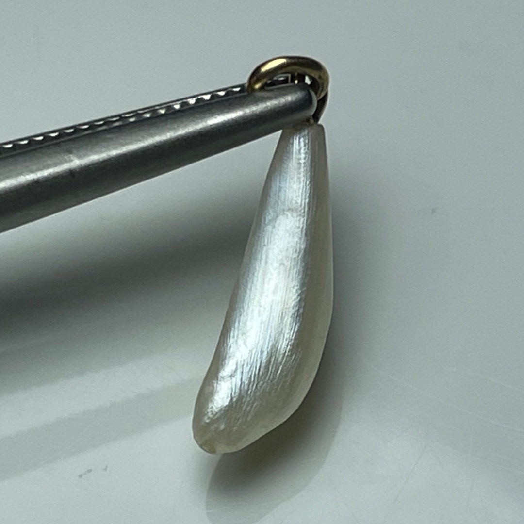 13mm Rare Natural MISSISSIPPI River Pearl Drop Wing 14kt Gold Antique ...