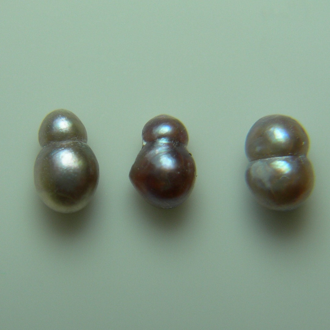 3 Very Rare Natural Sea of Cortez TWIN PEARLS Genuine Saltwater Pteria ...